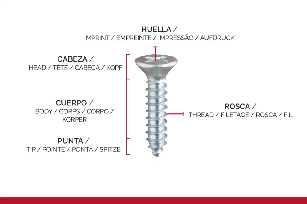 Las partes de un tornillo: cabeza, huella, punta y rosca | CHAVESBAO